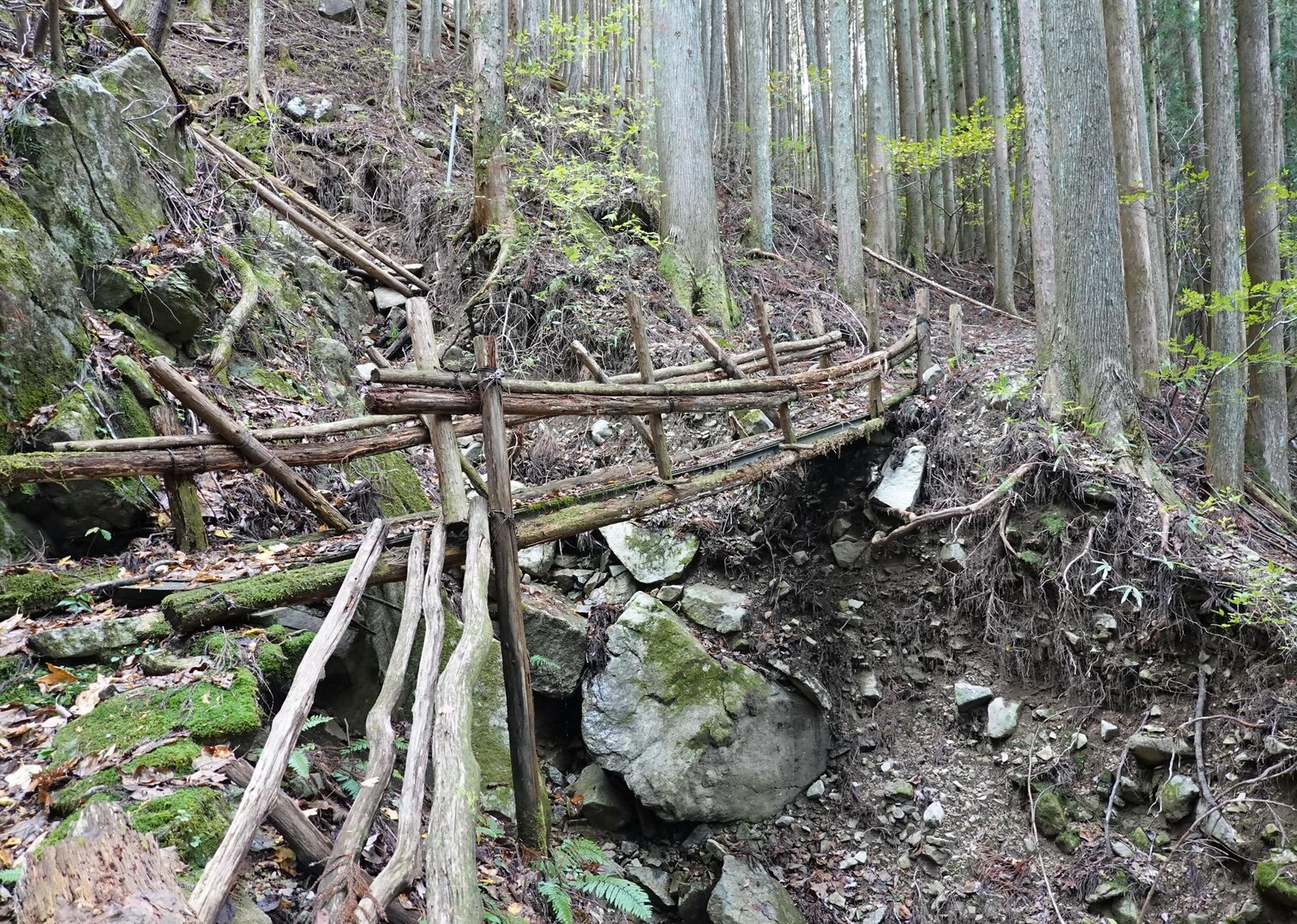 wtaxus わたくさすさんの投稿したフィールドメモ | YAMAP / ヤマップ