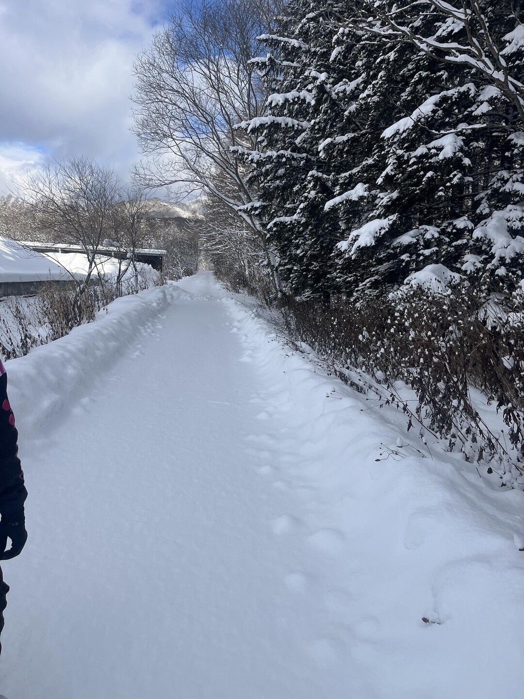 中愛別山、あと600くらいで撤退👋🏻 / tar_cyさんのチトカニウシ山の活動データ | YAMAP / ヤマップ