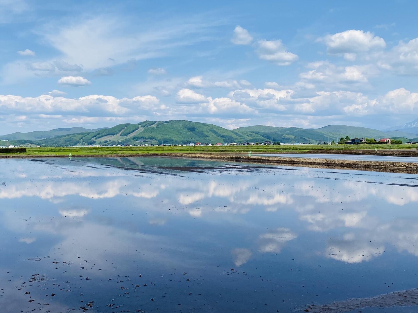 今週は、お山登りはお休み😐 でも... / yukari さんのモーメント | YAMAP / ヤマップ