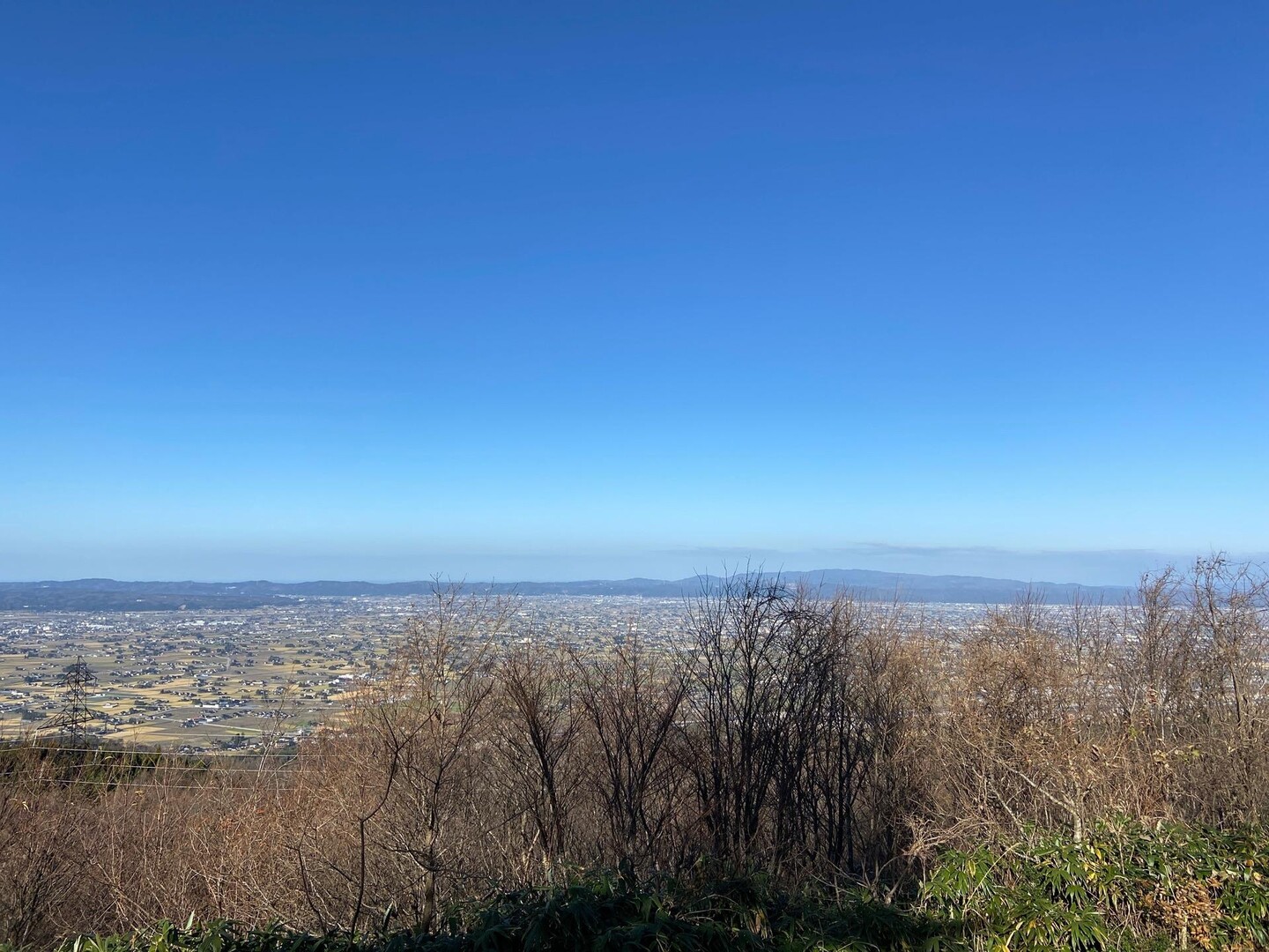 鉢伏山 / hayaさんの鉢伏山・高ボッチ山・三峰山の活動データ | YAMAP / ヤマップ