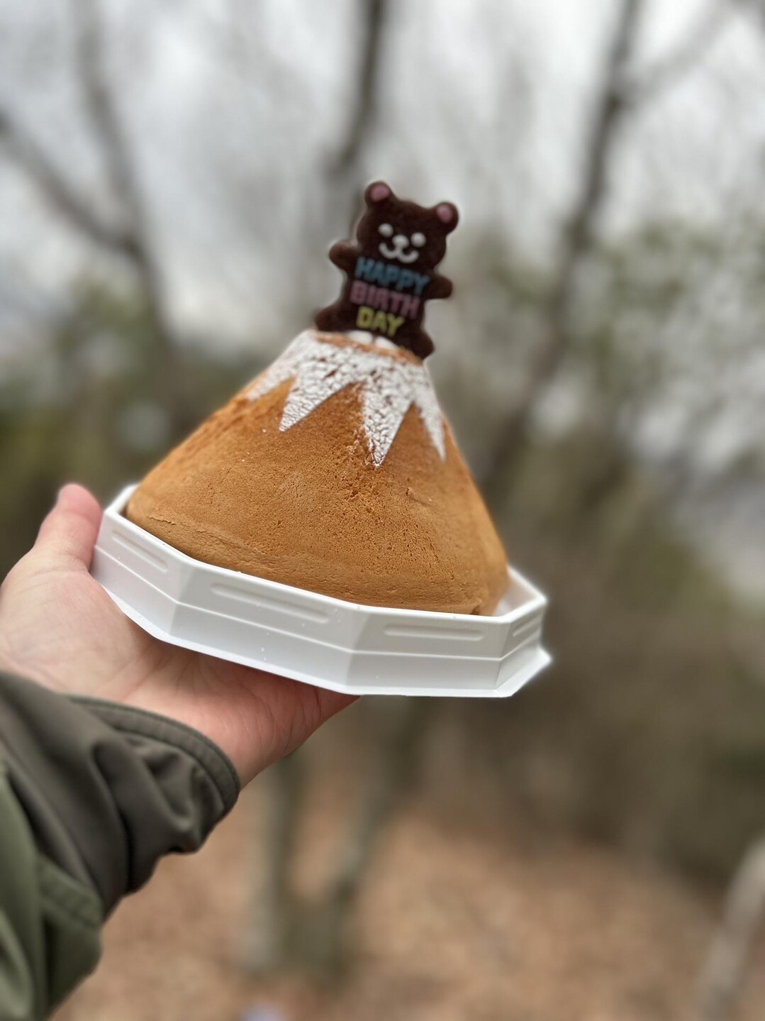 ひな祭り登山🎎三座(鎮海山・鎮ヶ山・東山) / miryuさんの竹原市の活動データ | YAMAP / ヤマップ