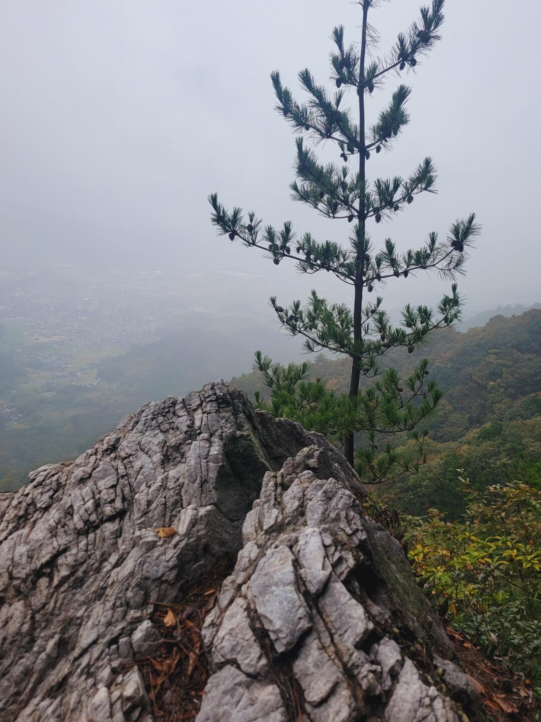 琴石山🍁里山で感無量 / shigeyoさんの琴石山・三ヶ岳の活動データ | YAMAP / ヤマップ