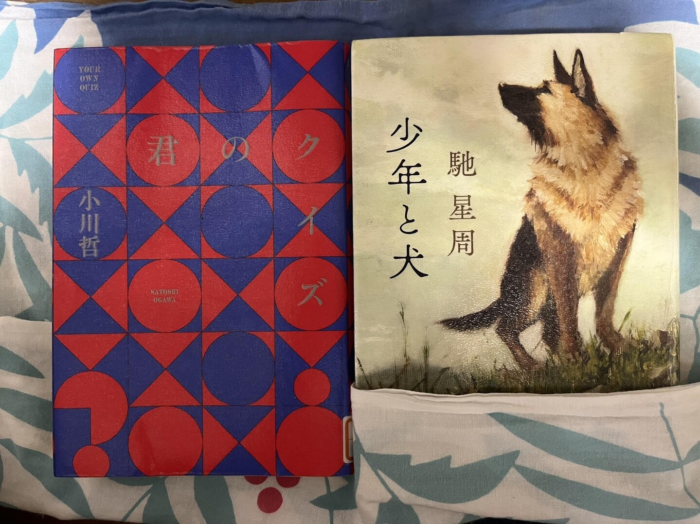 6月に読んだ本。 「君のクイズ」は、TV... / takamayuさんのモーメント | YAMAP / ヤマップ