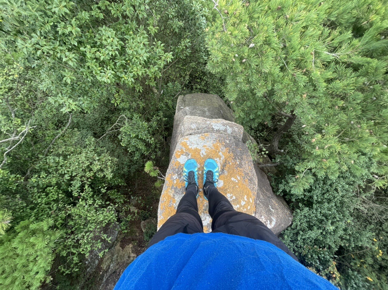 DJの山行記録91・荒地山”北の絶景”を探索 / DJさんの六甲山・長峰山・摩耶山の活動データ | YAMAP / ヤマップ