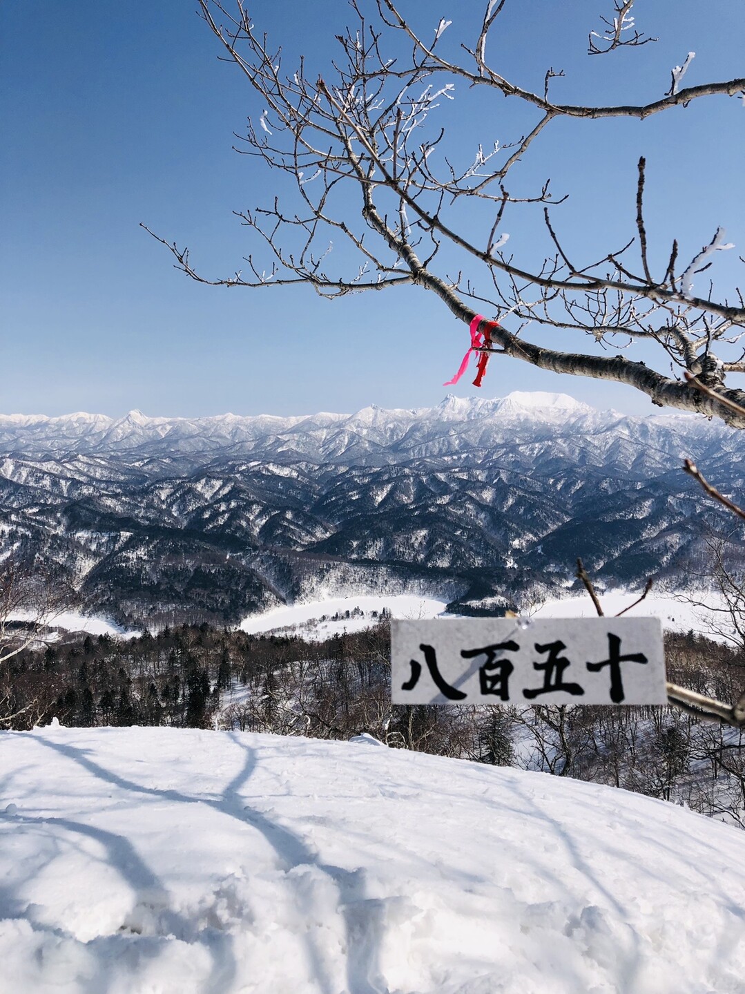 八百五十〜やっと晴れの休日に登っちゃった🤭 / FUM!さんの夕張岳の活動データ | YAMAP / ヤマップ