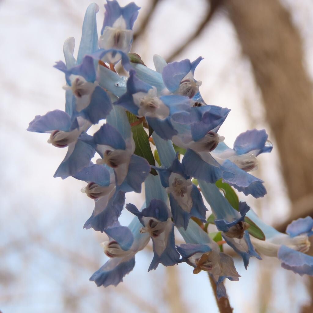 硬石山 / rukamakiさんの硬石山の活動データ | YAMAP / ヤマップ