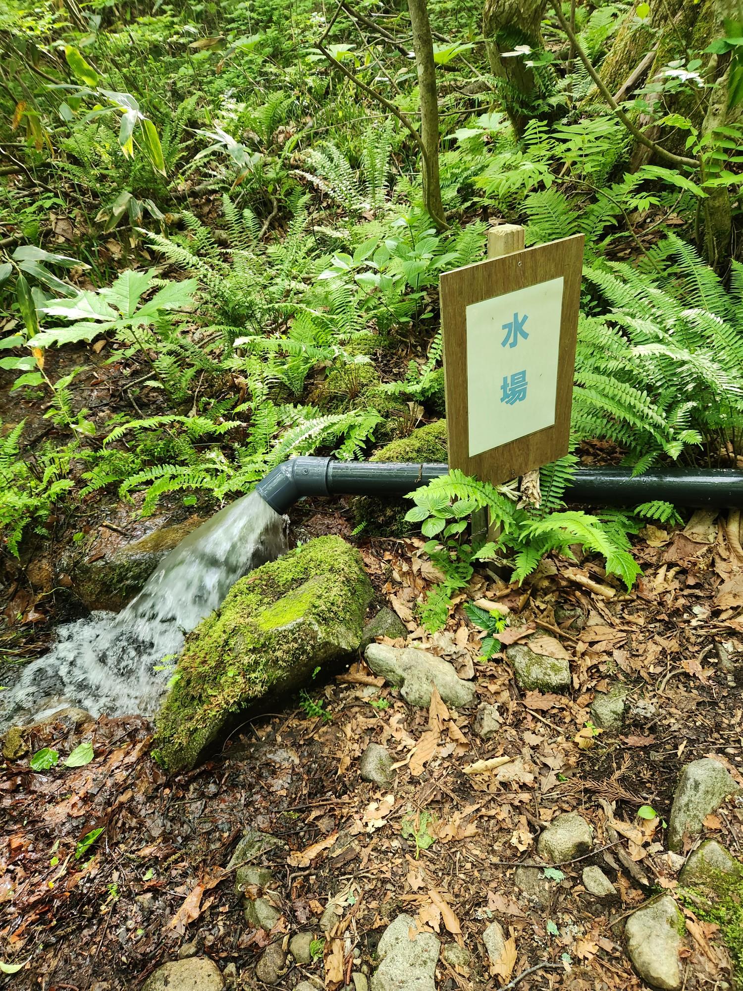 papiさんの投稿したフィールドメモ | YAMAP / ヤマップ