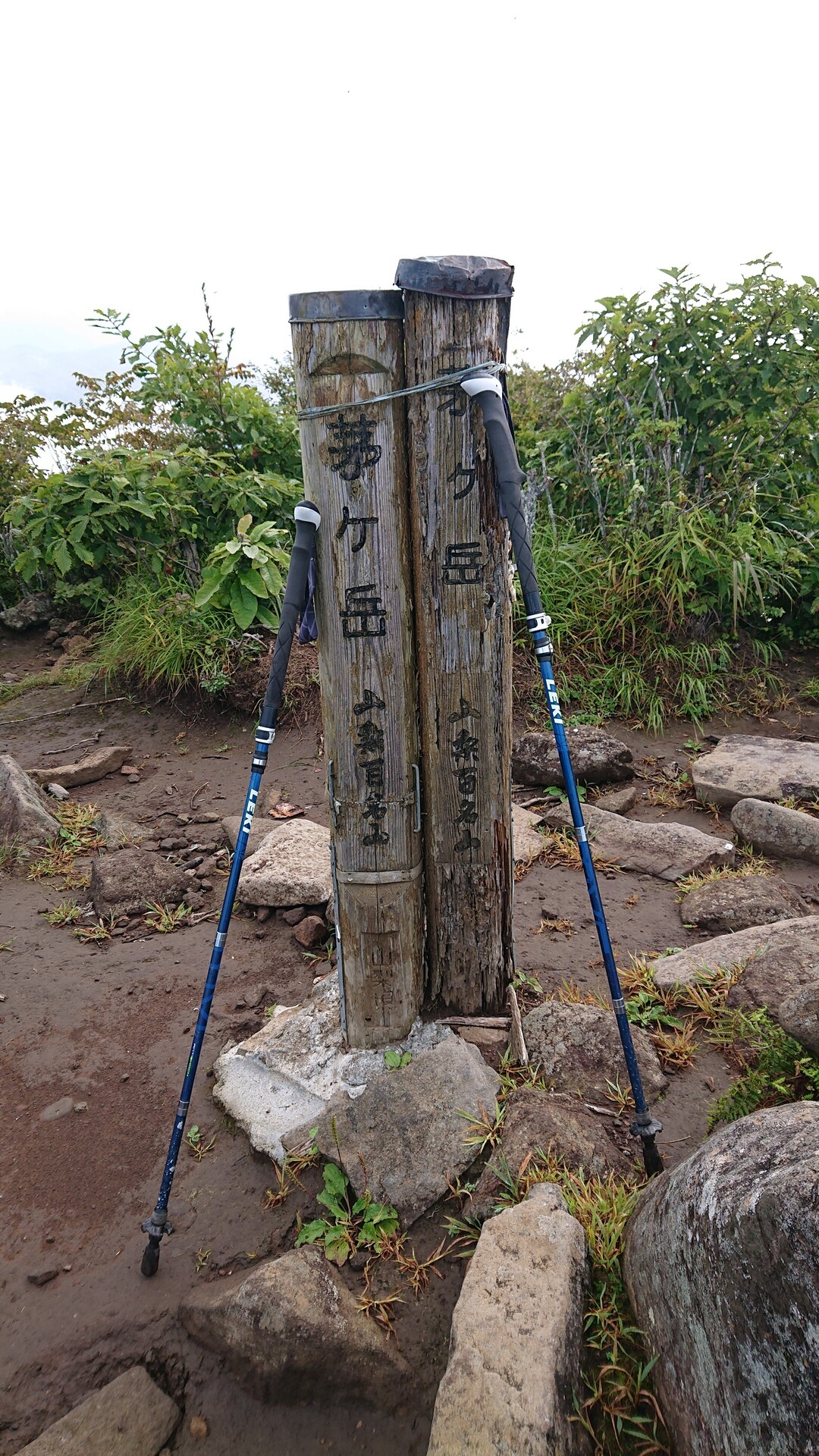 茅ヶ岳 / de rosa SK17さんの茅ヶ岳・金ヶ岳・太刀岡山の活動データ | YAMAP / ヤマップ