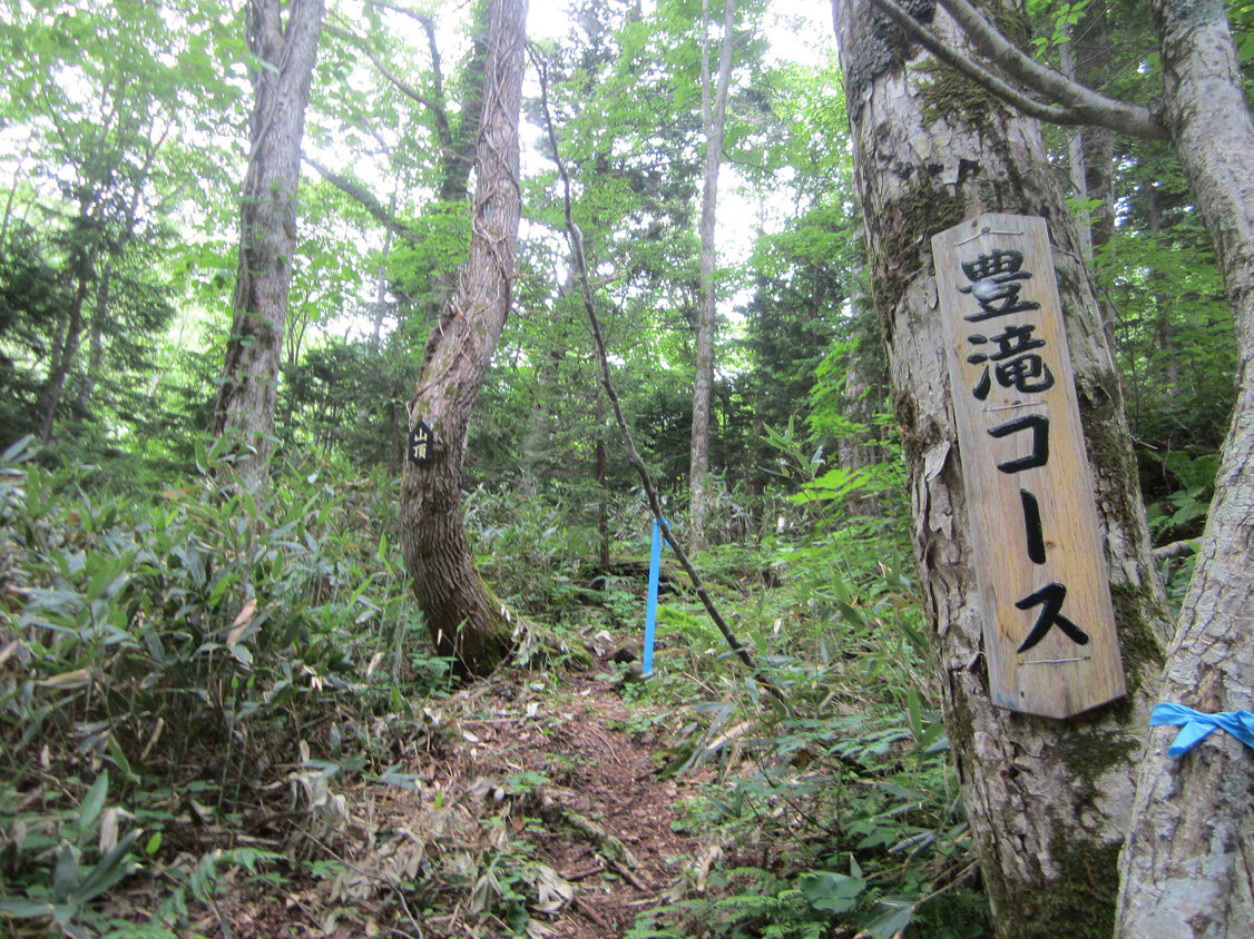 2019 札幌岳（豊滝コース モニター登山） / TOMさんの札幌岳・空沼岳の活動日記 | YAMAP / ヤマップ