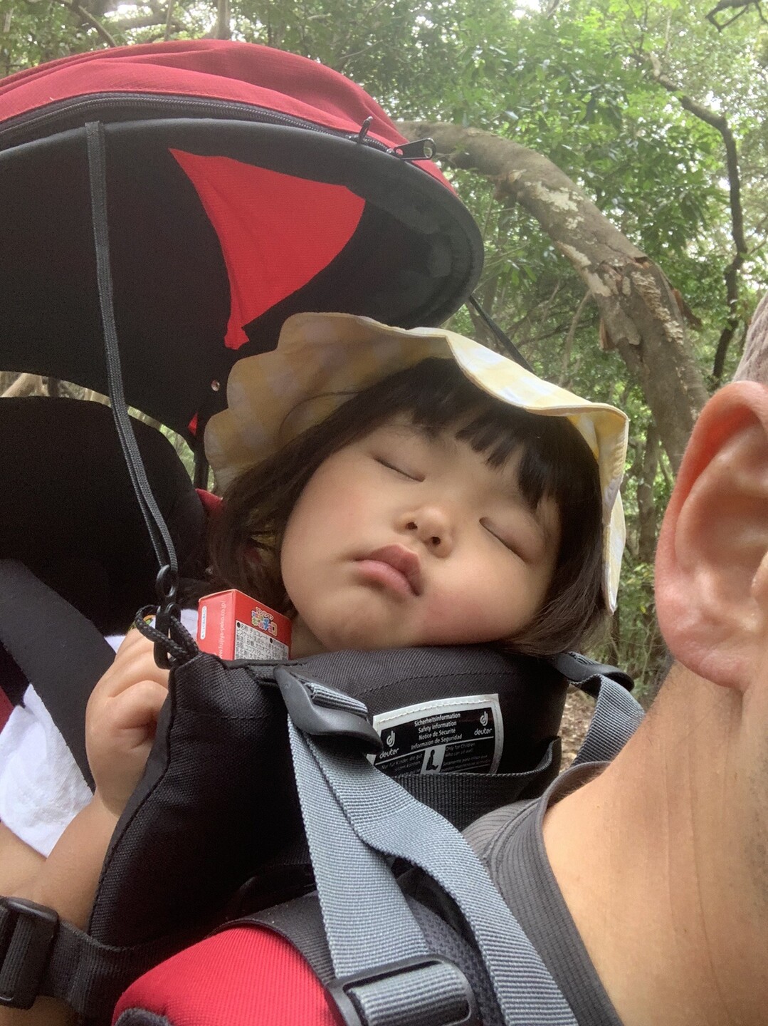 明星山 家族登山(*ﾟ ﾟ*) / Team AQAさんの登山の活動データ | YAMAP / ヤマップ