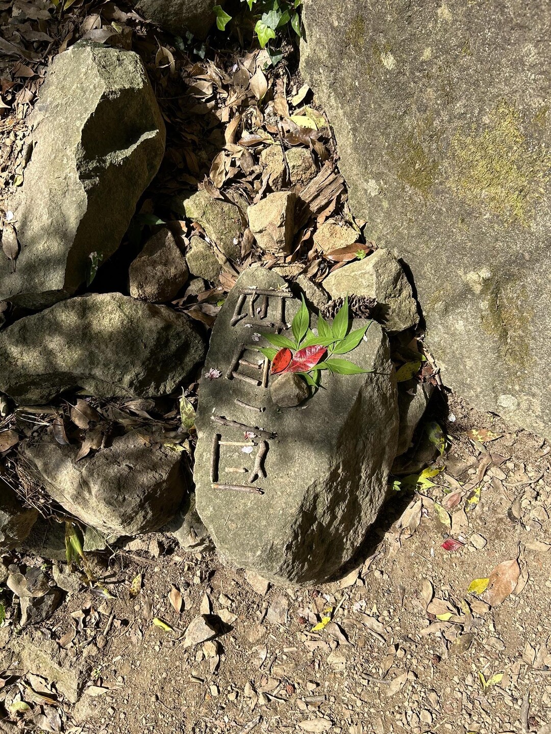 粟ヶ岳 / tomopiroさんの粟ヶ岳の活動データ | YAMAP / ヤマップ