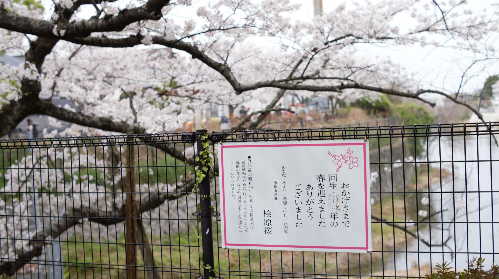 ぐるっと散歩 / GTさんの【公式】福岡市（防災情報含む）の活動データ | YAMAP / ヤマップ