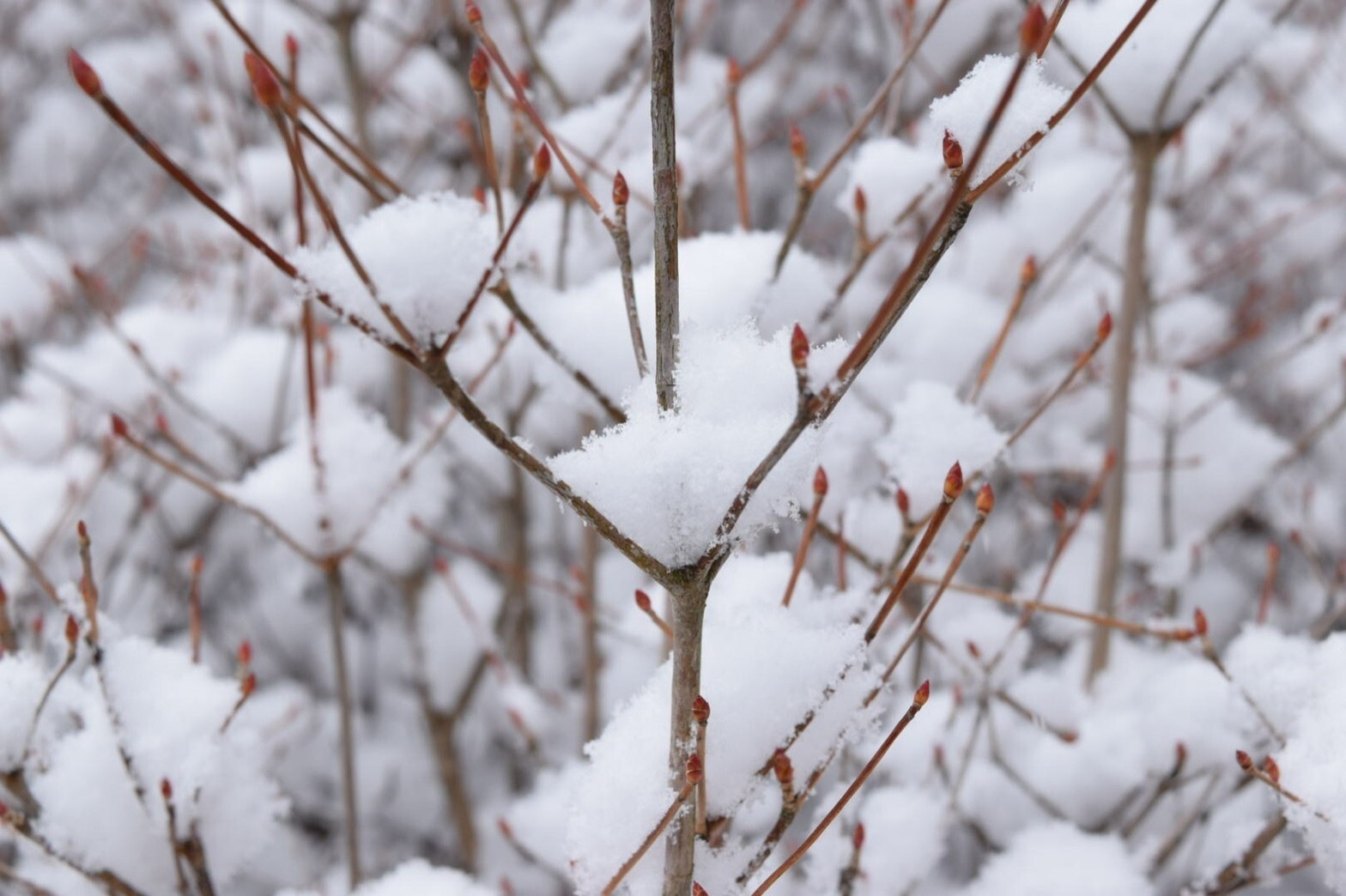 多度山 / sh☺︎k☺︎さんの多度山・美濃松山・石津御嶽の活動データ | YAMAP / ヤマップ
