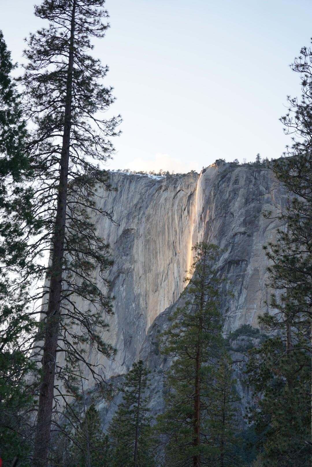 ヨセミテ国立公園 / Erwin_Zさんのヨセミテ国立公園の活動データ | YAMAP / ヤマップ