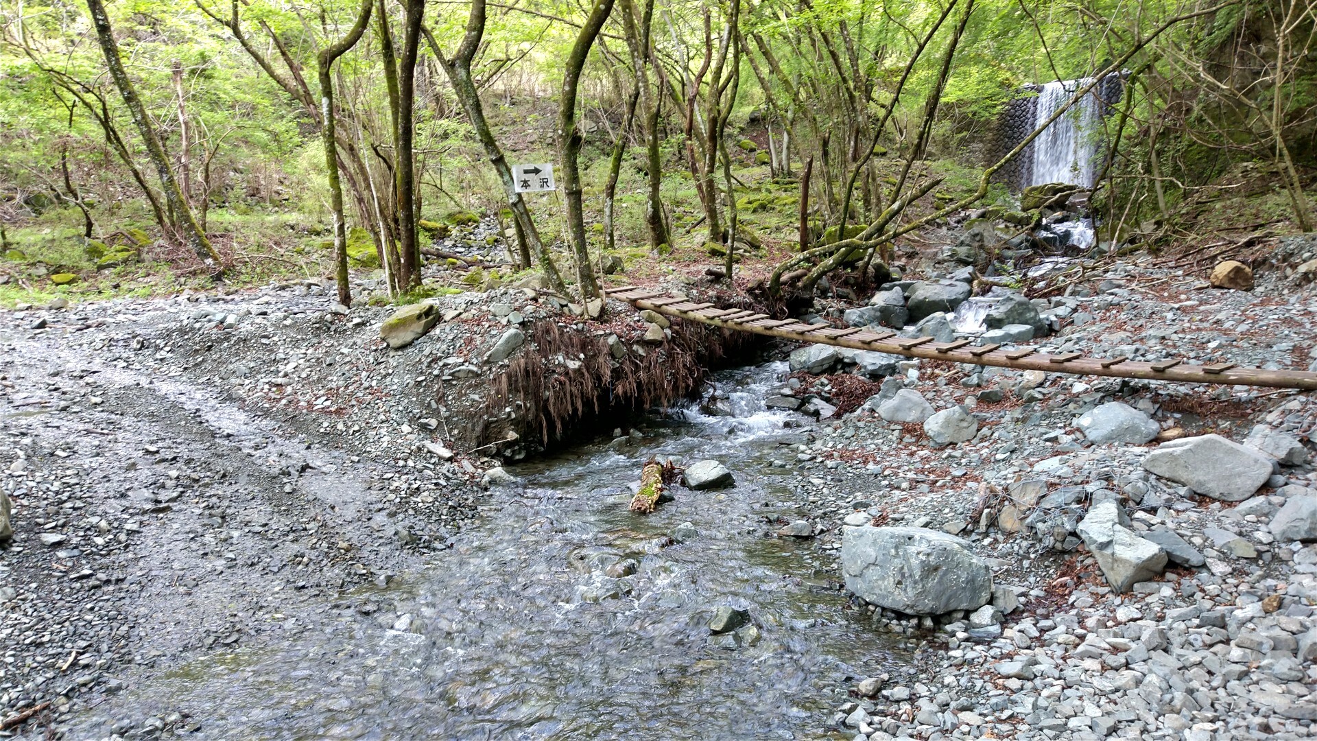 3104さんの投稿したフィールドメモ | YAMAP / ヤマップ