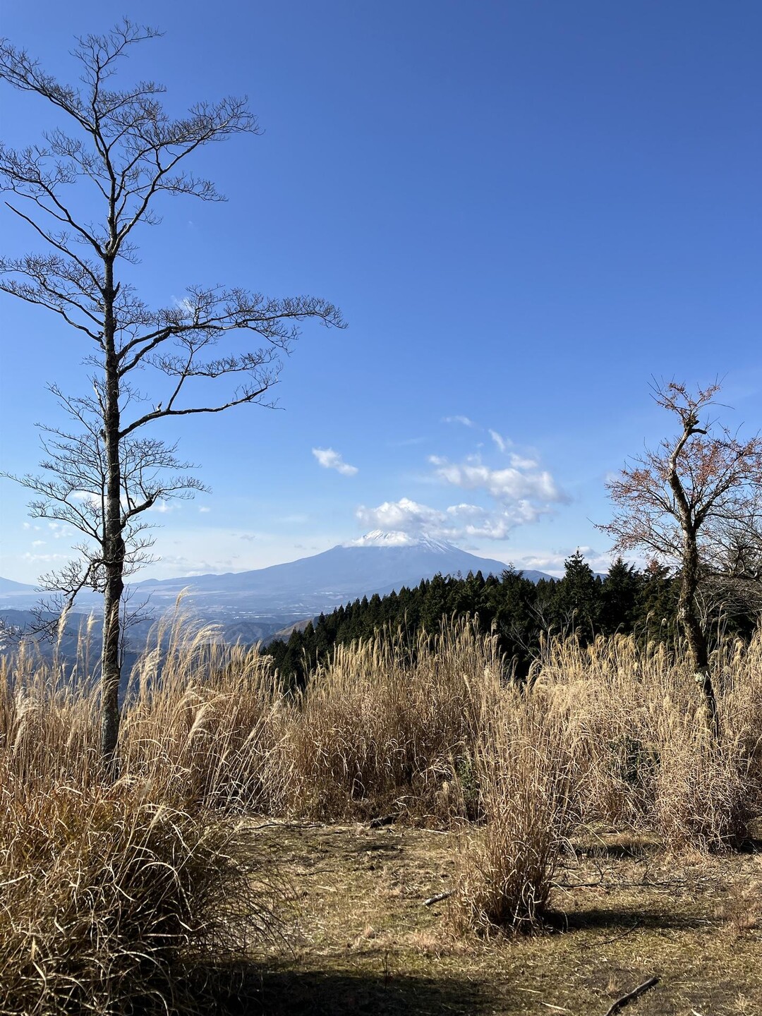 山納めに高松山 / ROMIさんの高松山・大野山の活動データ | YAMAP / ヤマップ