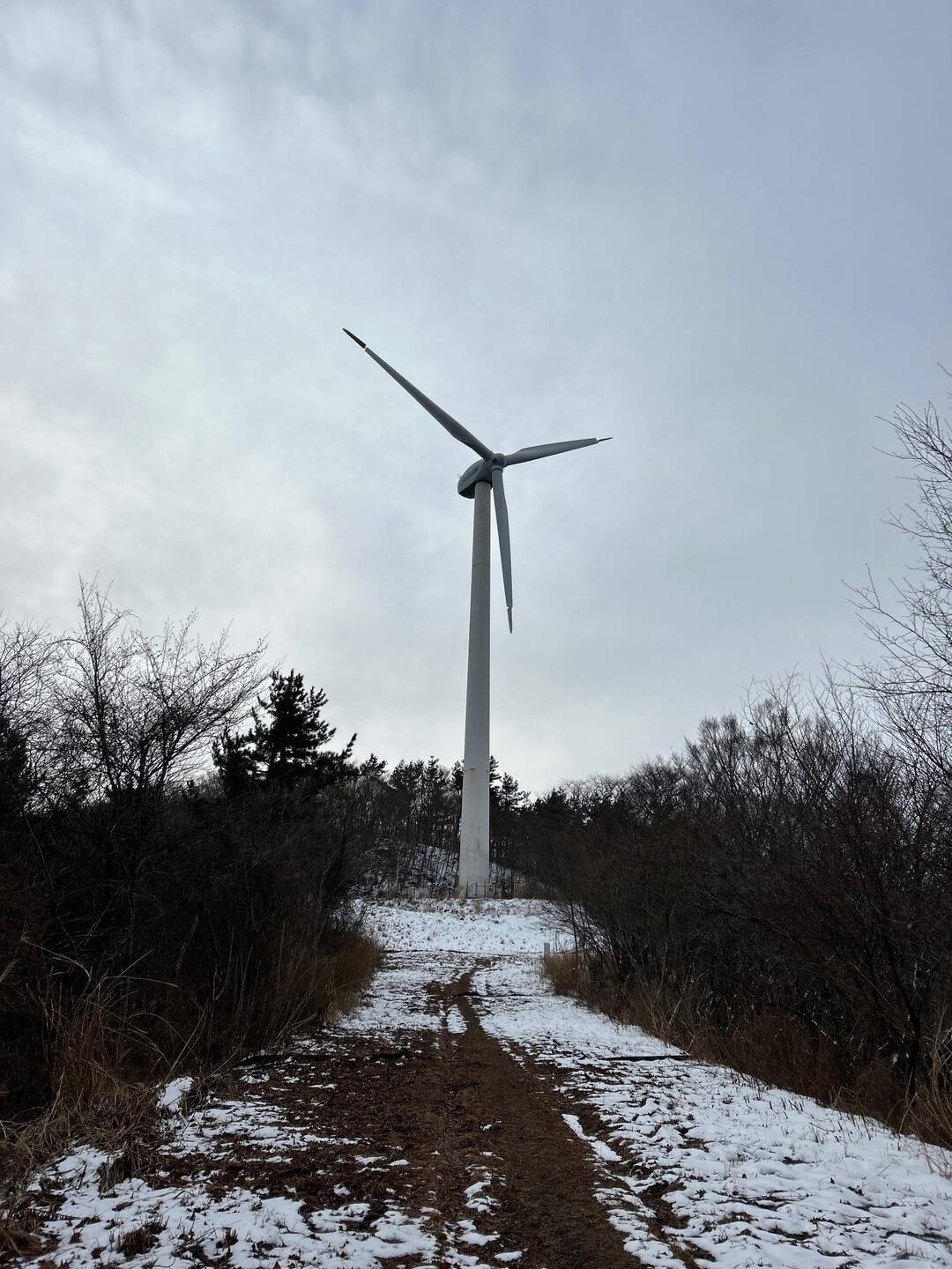 御嶽山(筑波連山)・雨引山・燕山・加波山・丸山・足尾山 / tottuanさんの加波山・吾国山・難台山の活動データ | YAMAP / ヤマップ