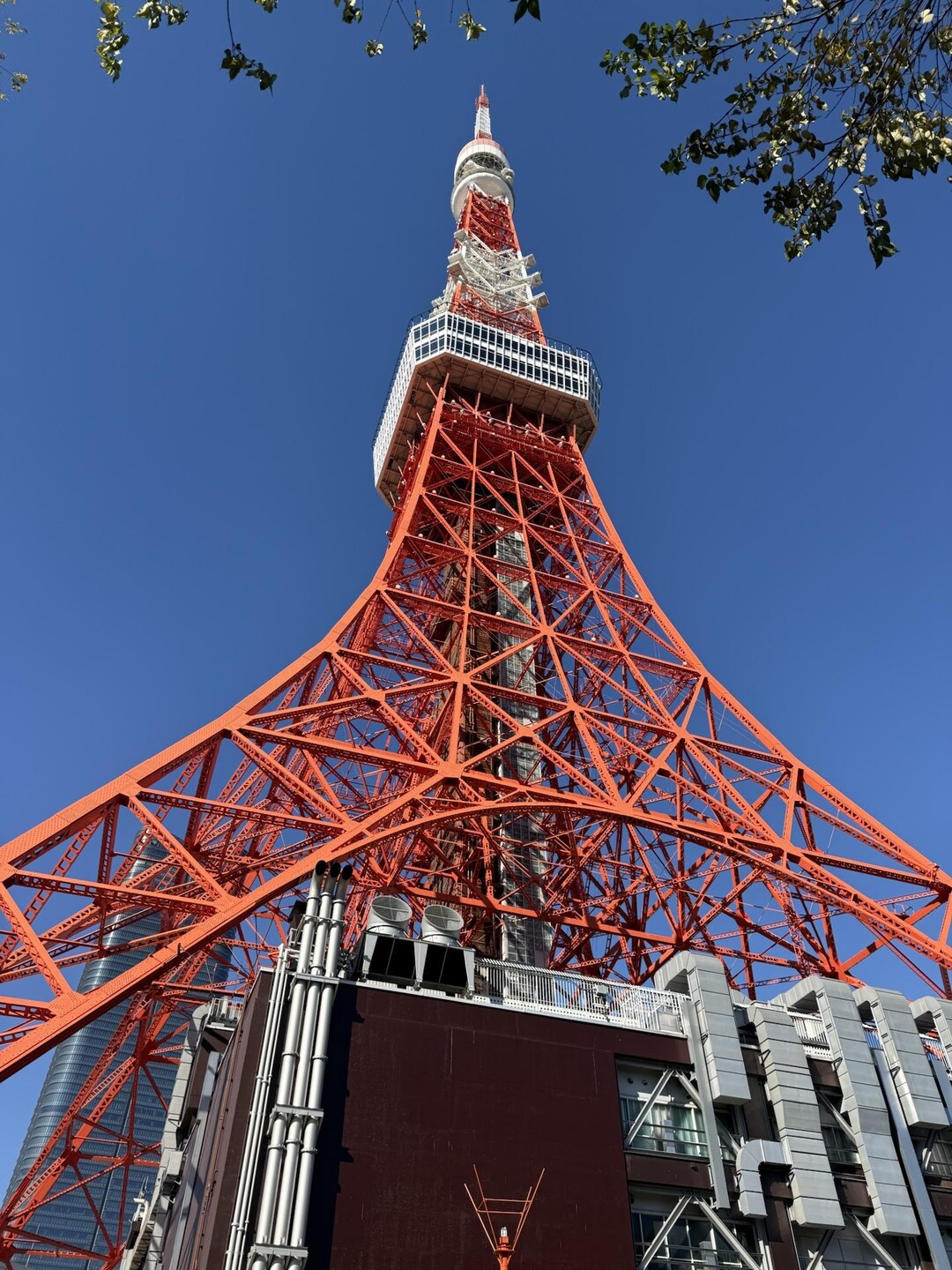 紅葉山・愛宕山・つつじ山・三笠山 / mamikoさんの東京都23区 中央エリアの活動日記 | YAMAP / ヤマップ