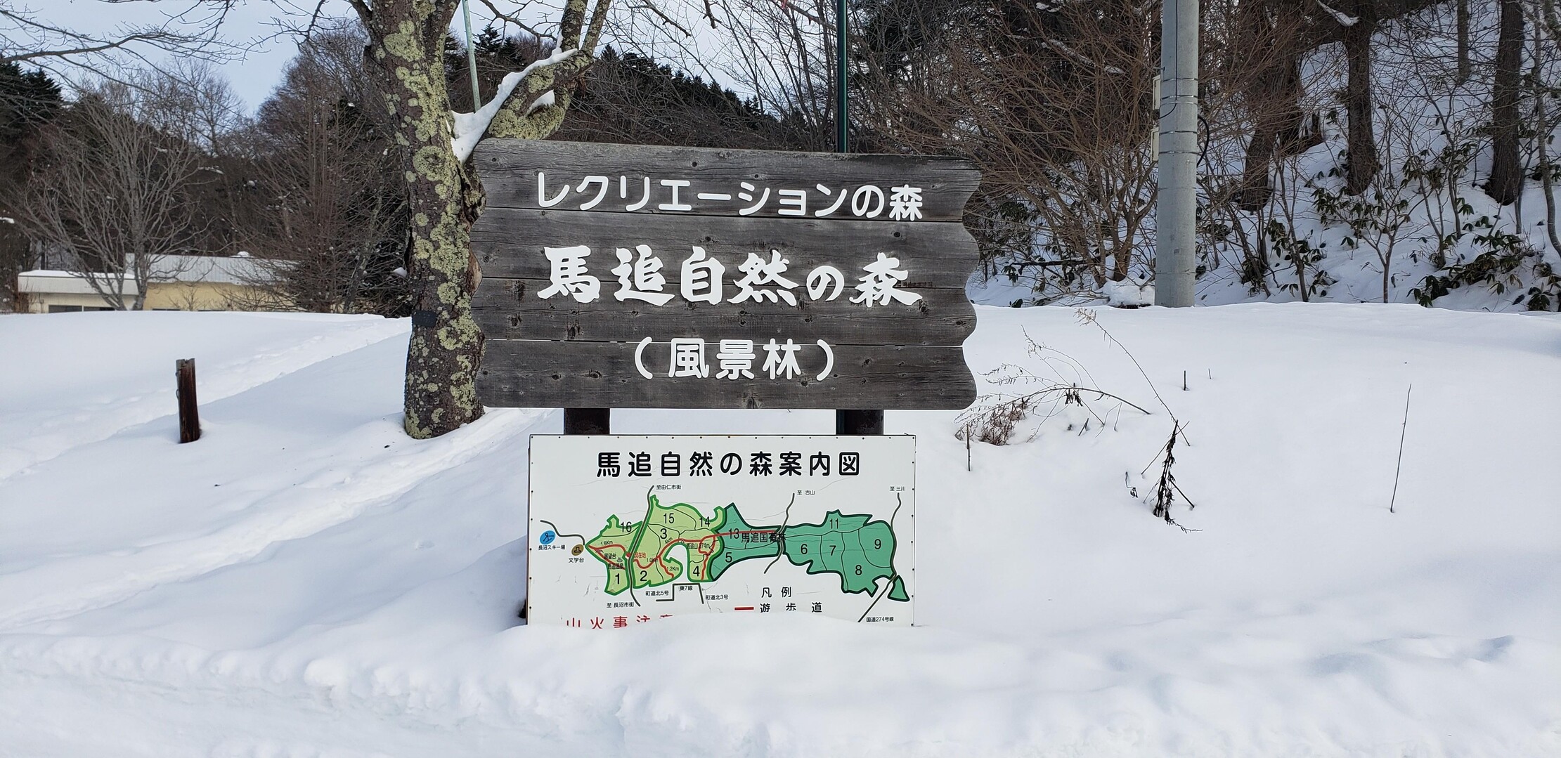 長官山・瀞台（馬追山） / Ryu-chanさんの馬追丘陵・長官山・瀞台（馬追山）の活動データ | YAMAP / ヤマップ