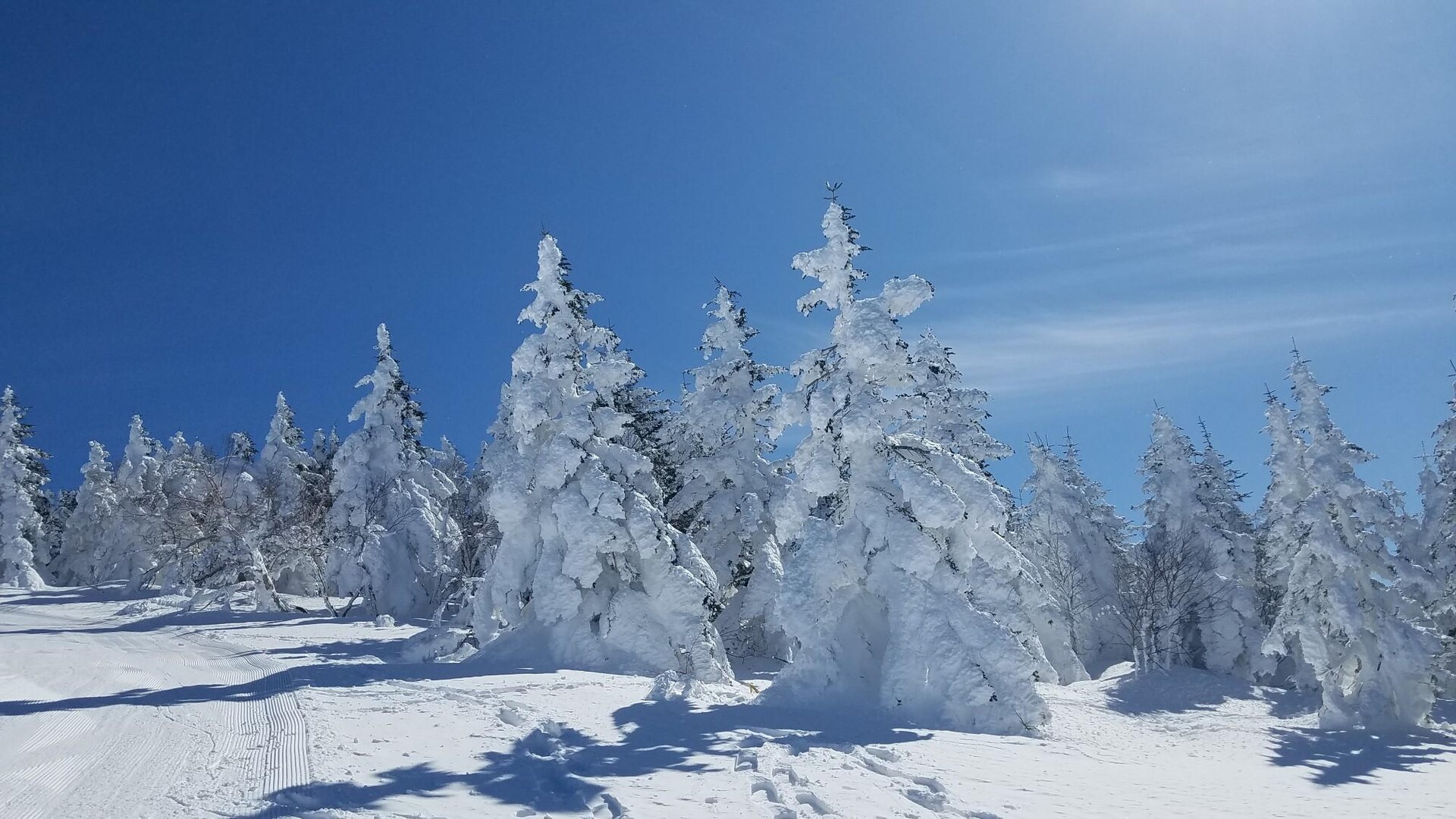 小根子岳・根子岳 / mizuさんの四阿山・根子岳の活動データ | YAMAP / ヤマップ
