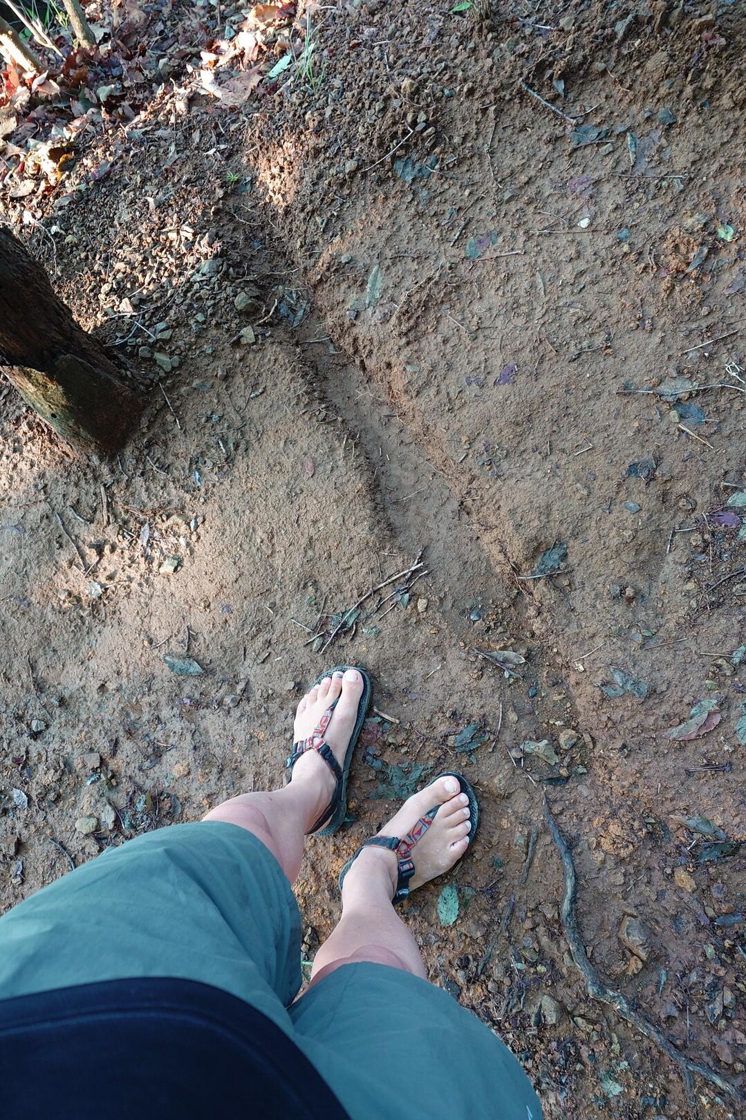 ようやく疲労抜け 29分登頂 / ta2さんの鳴神山・吾妻山の活動データ | YAMAP / ヤマップ