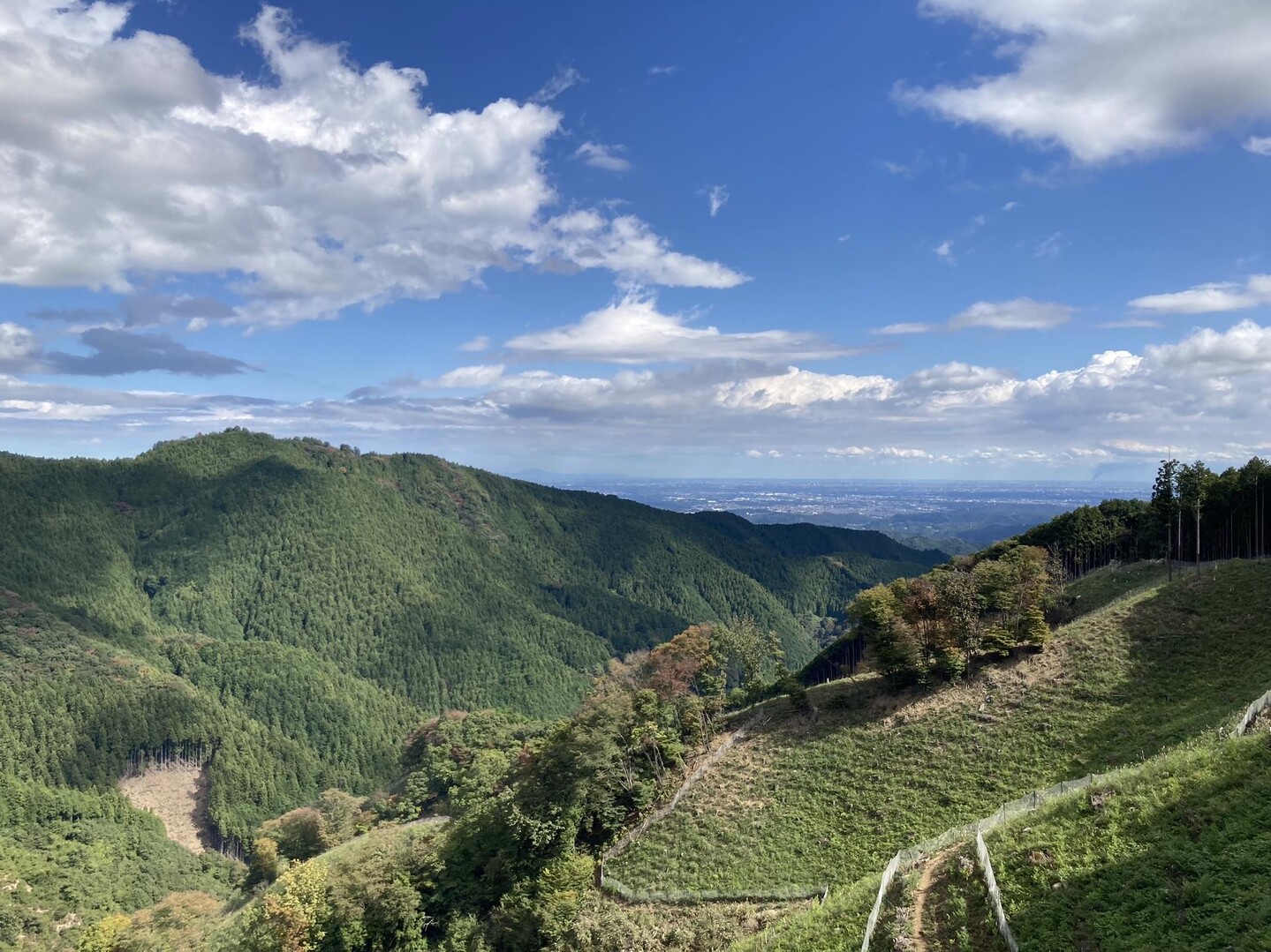 高水山・岩茸石山・惣岳山-2023-10-21 / Kota.Yさんの高水山・岩茸石山・惣岳山の活動データ | YAMAP / ヤマップ