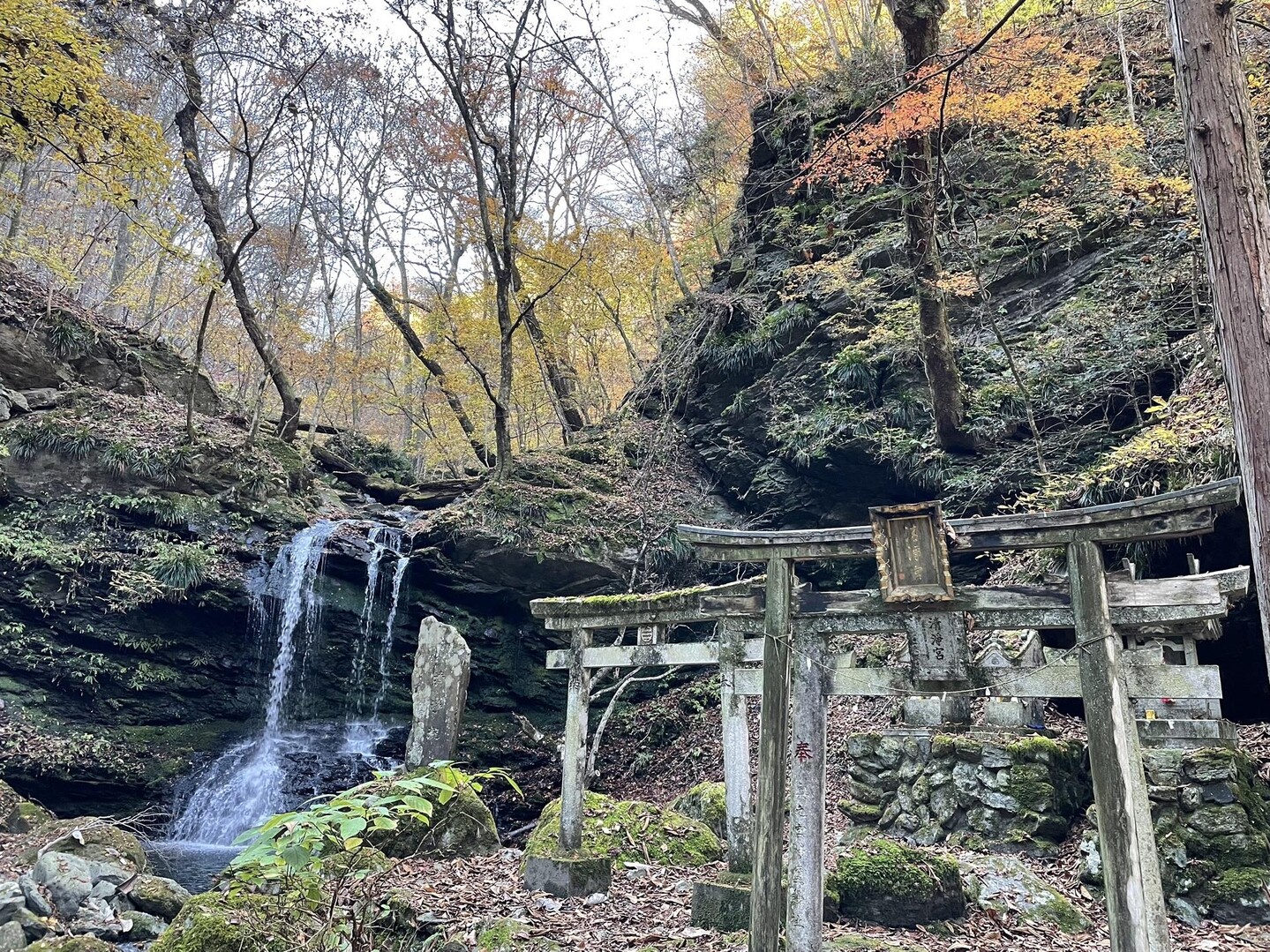 妙法ヶ岳 / あんぽめさんの雲取山・鷹ノ巣山・七ツ石山の活動データ | YAMAP / ヤマップ