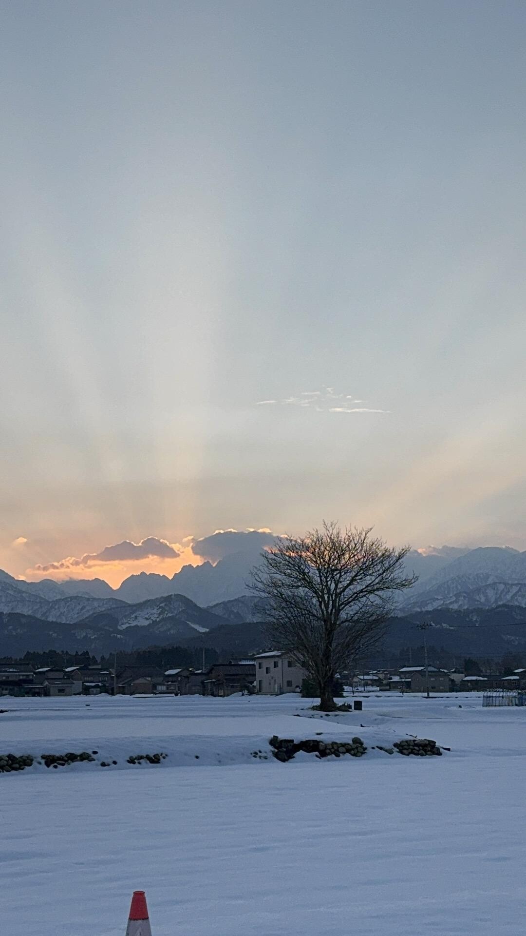 昨日の朝の上市町マジックアワー🌤️ #... / おおかみこどもの森づくりさんのモーメント | YAMAP / ヤマップ