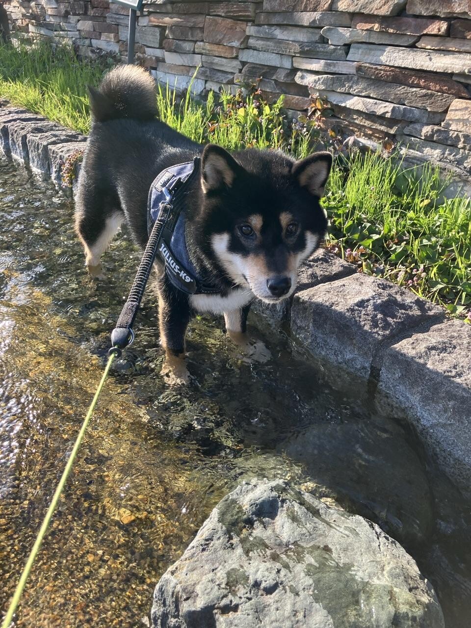 丹沢の麓^roku^のページ | YAMAP / ヤマップ