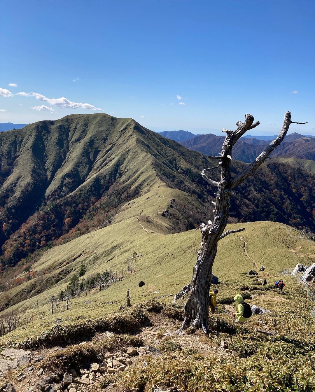 ウォーキング-2021-11-03 / Mt.g-shibaさんのウォーキングの活動データ | YAMAP / ヤマップ