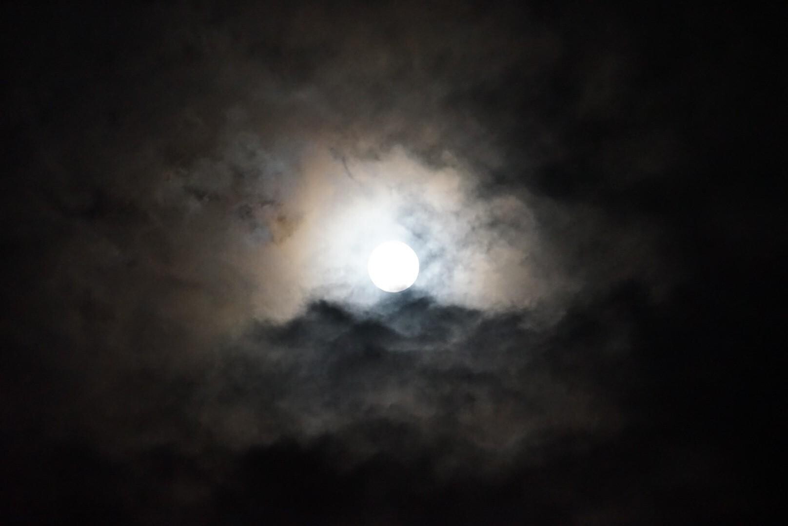 満月🌕20:24 / GTさんのモーメント | YAMAP / ヤマップ