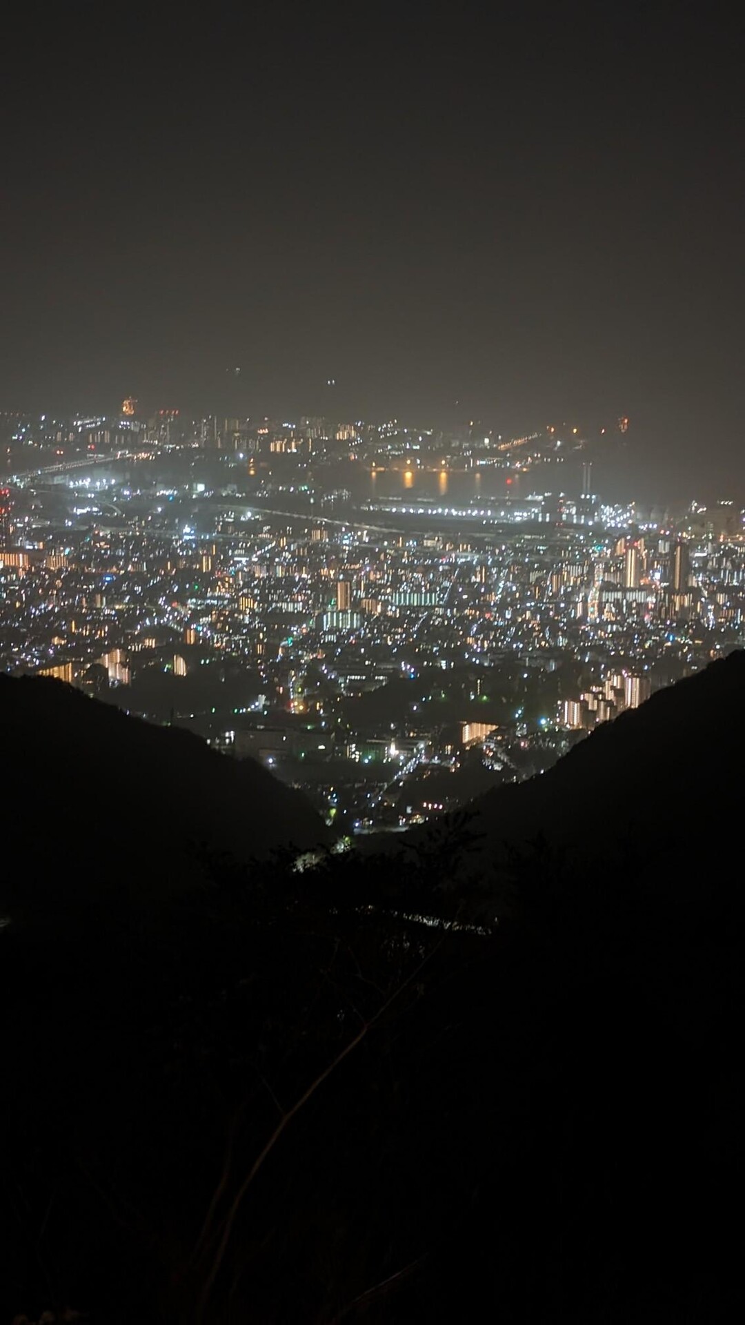 渦森台→六甲ケーブル山上→ネイチャーライブ六甲 / noanoaさんの六甲山・長峰山・摩耶山の活動データ | YAMAP / ヤマップ