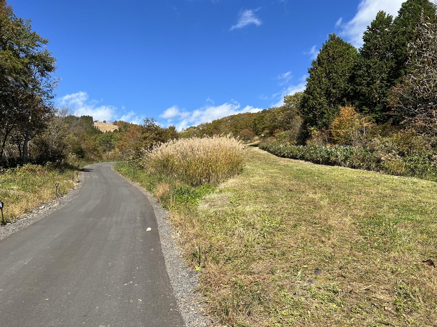 HIKARUさんの投稿したフィールドメモ | YAMAP / ヤマップ