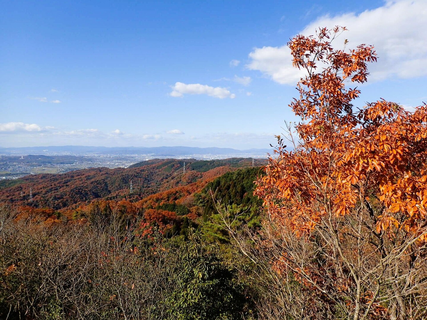 三上山 / Thomasさんの三上山・大焼山の活動データ | YAMAP / ヤマップ
