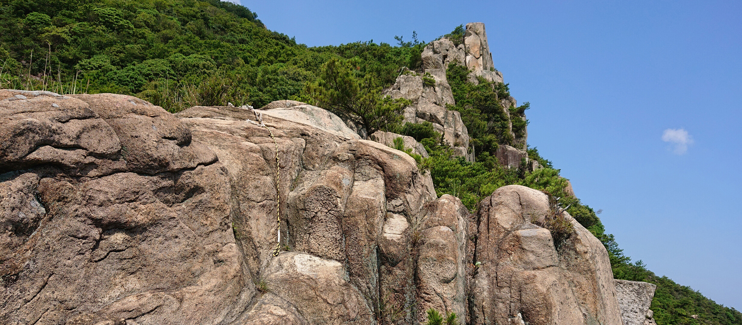 梅雨の合間に右田ヶ岳 / Sho OKさんの右田ヶ岳・西目山・楞厳寺山の活動データ | YAMAP / ヤマップ