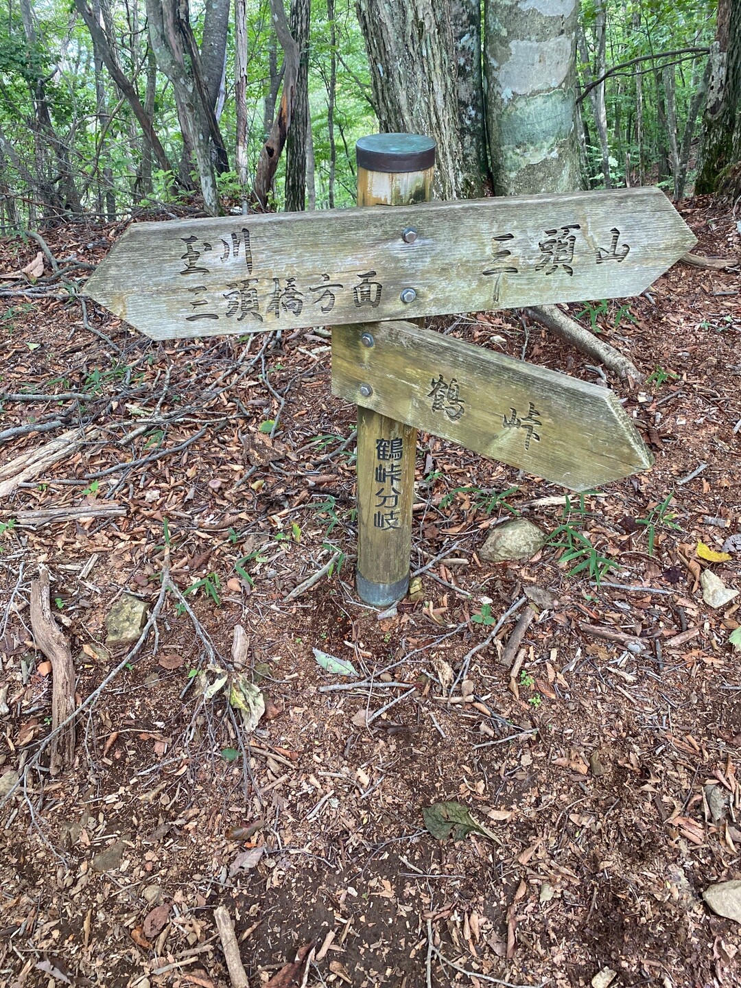 Emikoさんの投稿したフィールドメモ | YAMAP / ヤマップ