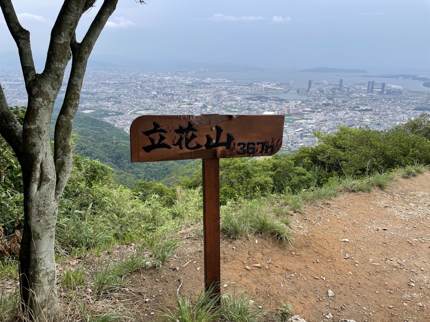 雨上がりの立花山 / Solidaさんの立花山・三日月山・城ノ越山の活動データ | YAMAP / ヤマップ
