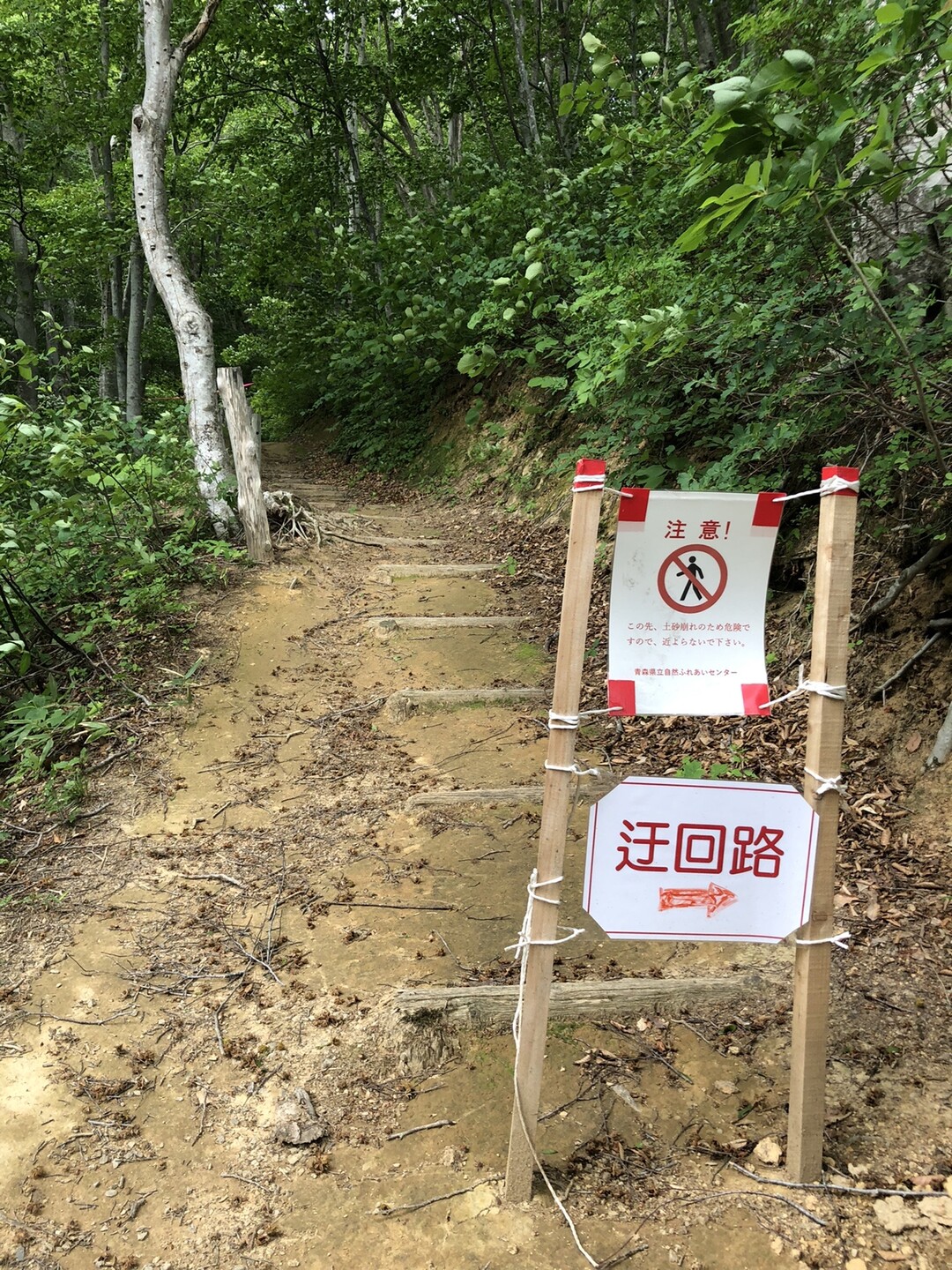 snow@ystさんの投稿したフィールドメモ | YAMAP / ヤマップ