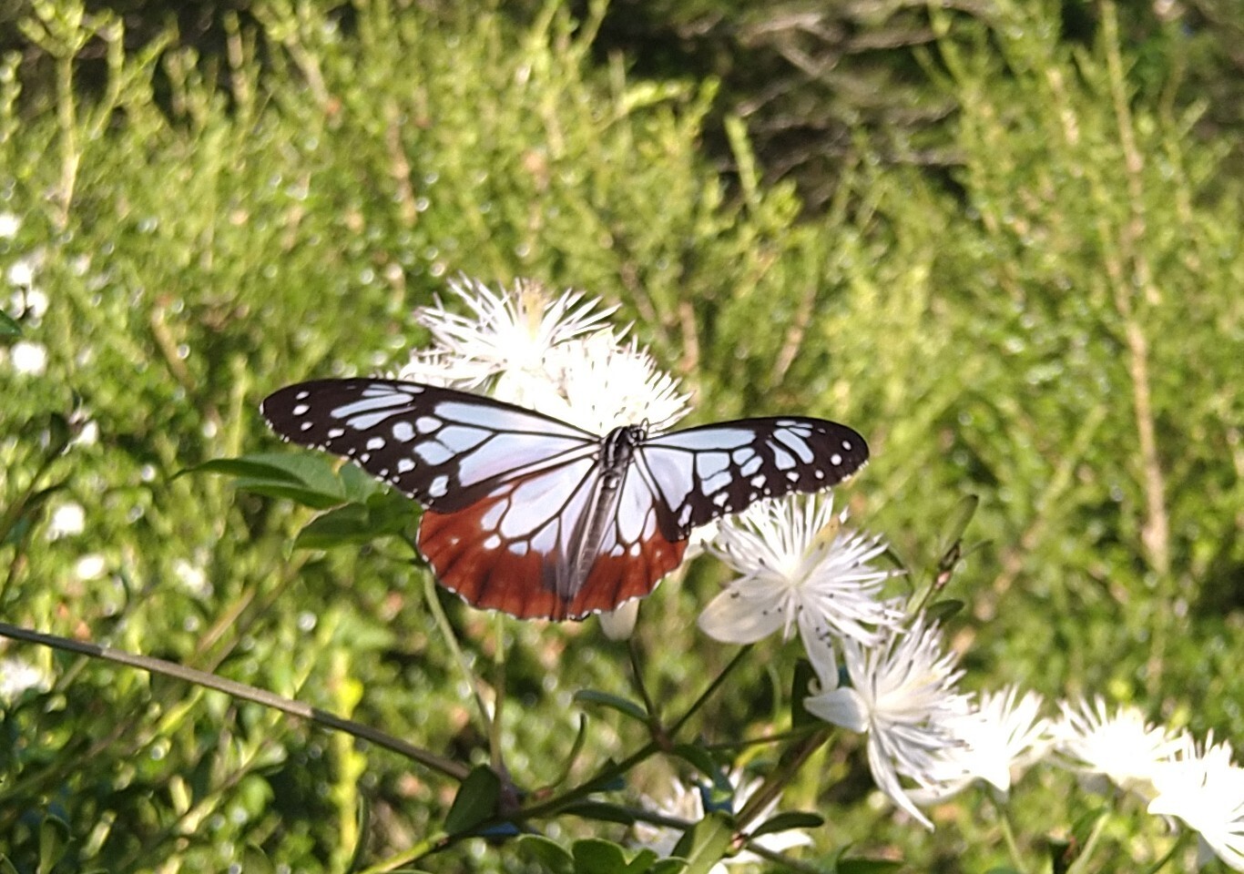 ぬぅ(⁠むぅ)のページ | YAMAP / ヤマップ