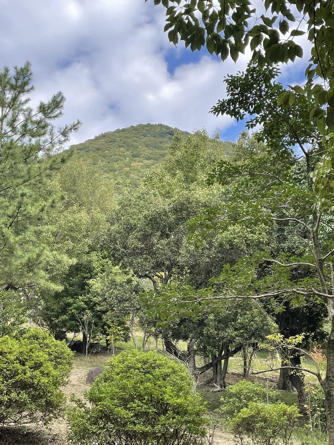 飯野山登山 2022-10-24 / norさんの飯野山（讃岐富士）の活動データ | YAMAP / ヤマップ