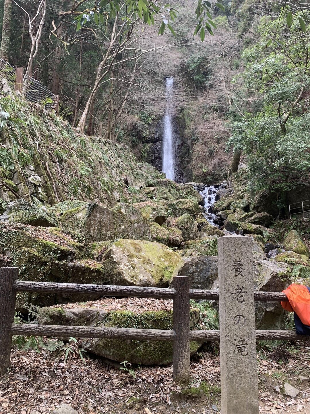三方山・小倉山・養老山・北尾根P826峰 / 和麻さんの養老山・笙ヶ岳・三方山の活動データ | YAMAP / ヤマップ
