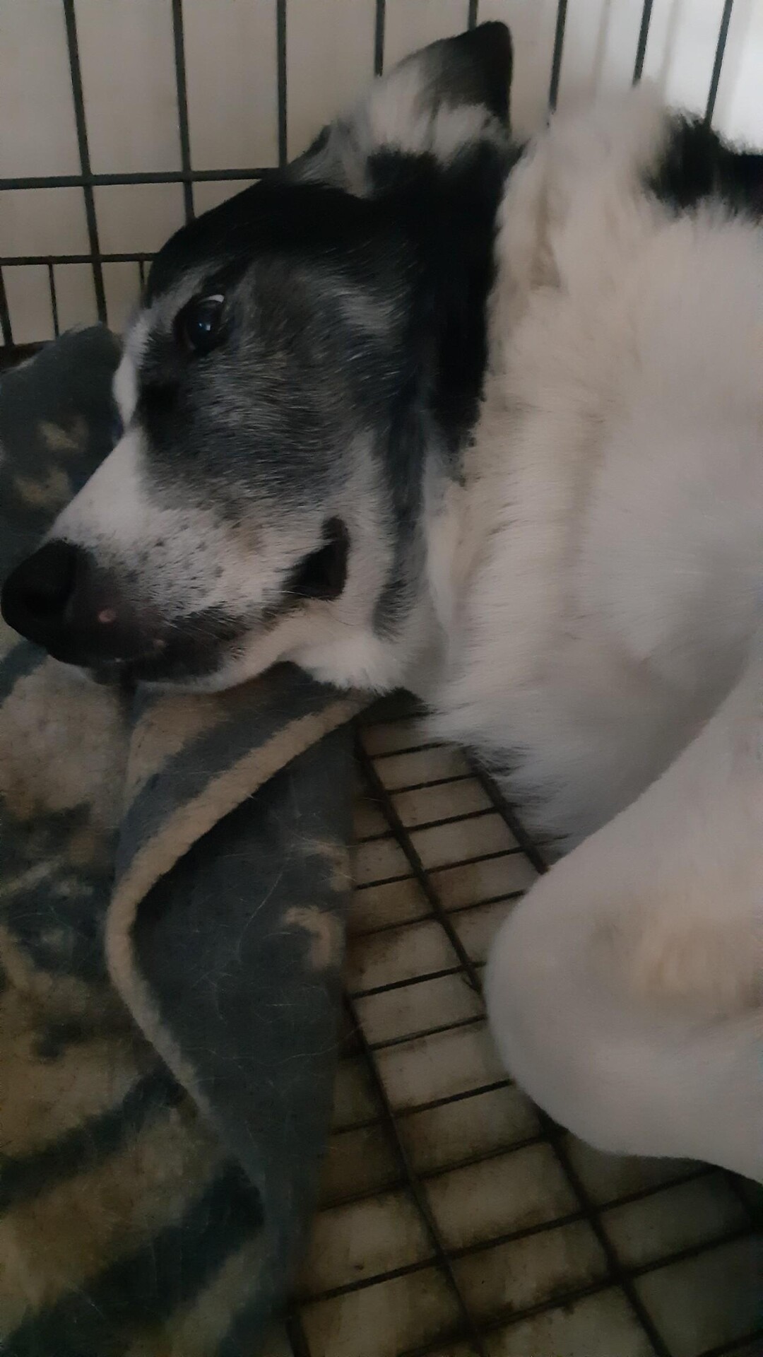 【⚠️一方送信⚠️】 膝は、大丈夫です... / ☆•*¨*•.¸¸🧞‍♂️ Genie (ma-2) 🧞‍♂️•*¨*•.¸¸☆さんのモーメント | YAMAP / ヤマップ