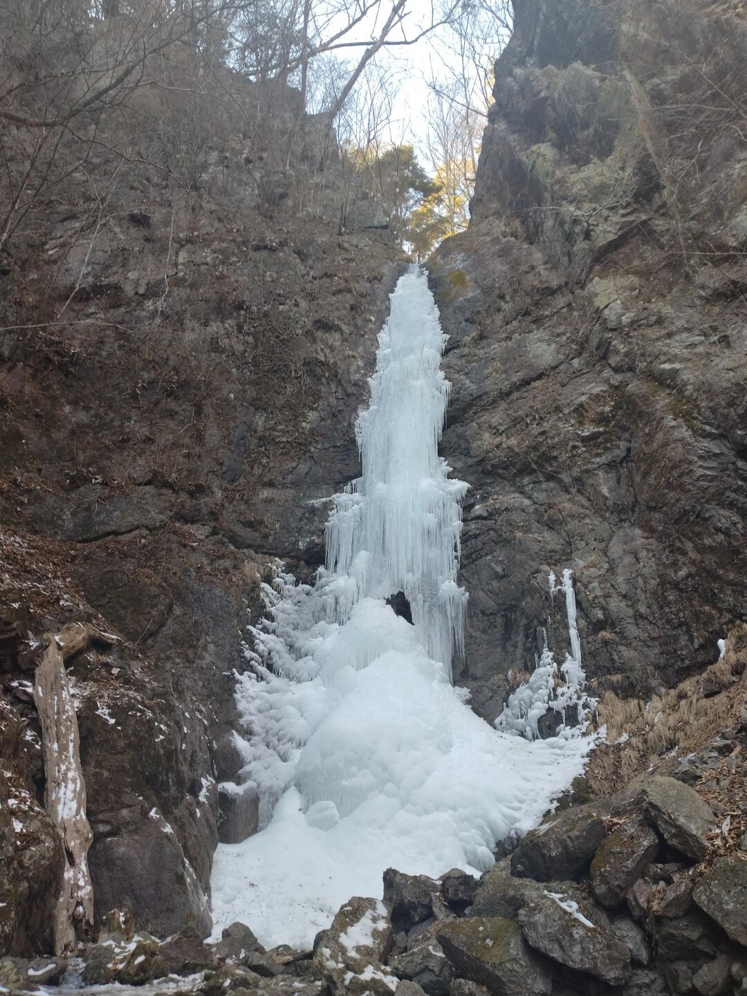 🌸Hayataki-Icefall⚡ / 🌸Springthunders⚡さんの赤久縄山・白髪岩・稲含山の活動データ | YAMAP / ヤマップ