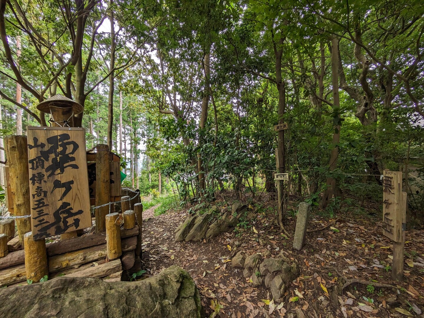 粟ヶ岳32 / AWA-MANさんの粟ヶ岳の活動データ | YAMAP / ヤマップ