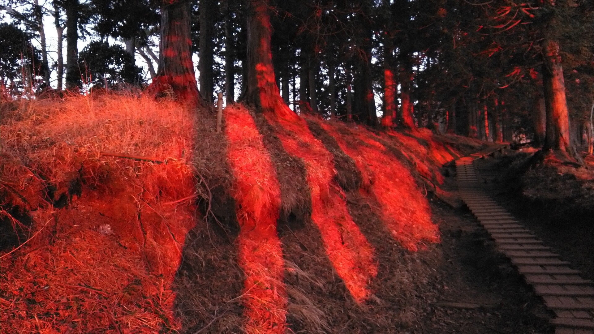 蛭ヶ岳ピストン！鍋割山も行っとく～！？ / kohirouさんの丹沢山の活動データ | YAMAP / ヤマップ