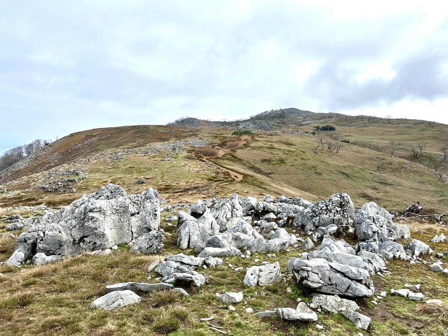 【山部!】福が咲く霊仙山🪨🌼 / Kyohei Takashimaさんの霊仙山の活動データ | YAMAP / ヤマップ