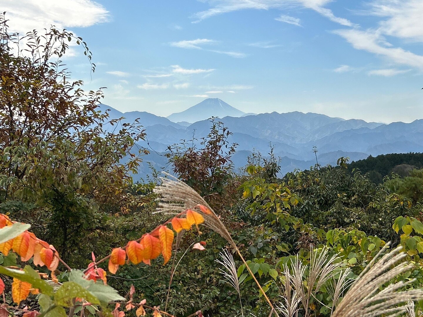 念願のハート🫶ルート達成🙌😆 / conyさんの高尾山・陣馬山・景信山の活動データ | YAMAP / ヤマップ