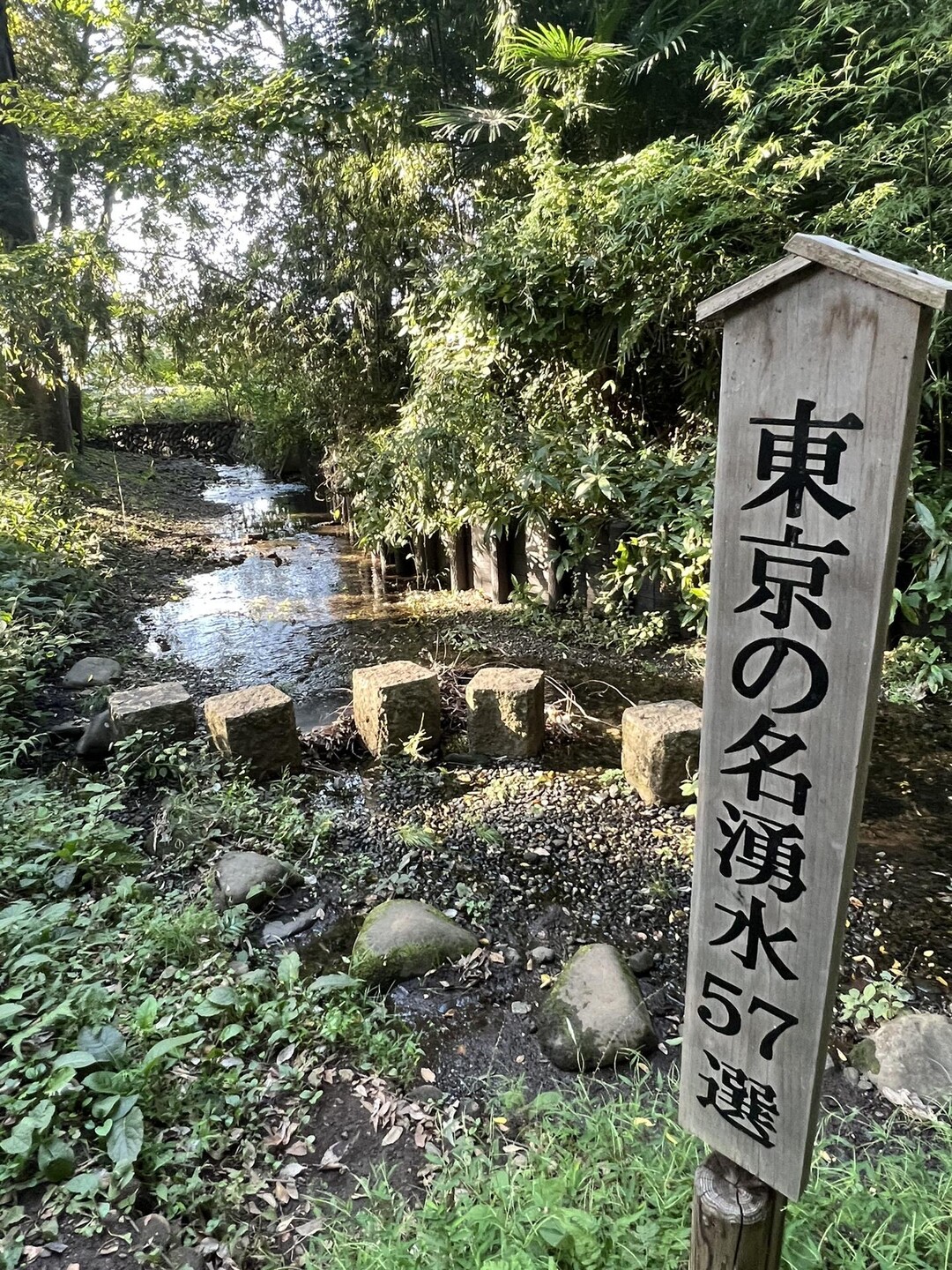 柳窪緑地保全地域2023-10-18 / sakichangさんのウォーキングの活動データ | YAMAP / ヤマップ