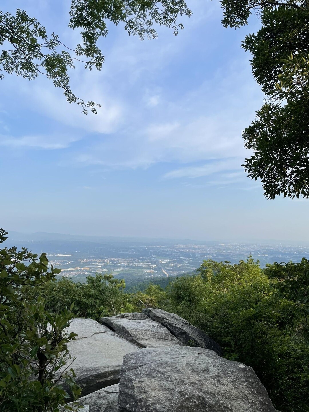 猿投山 / rinaさんの猿投山・物見山の活動データ | YAMAP / ヤマップ