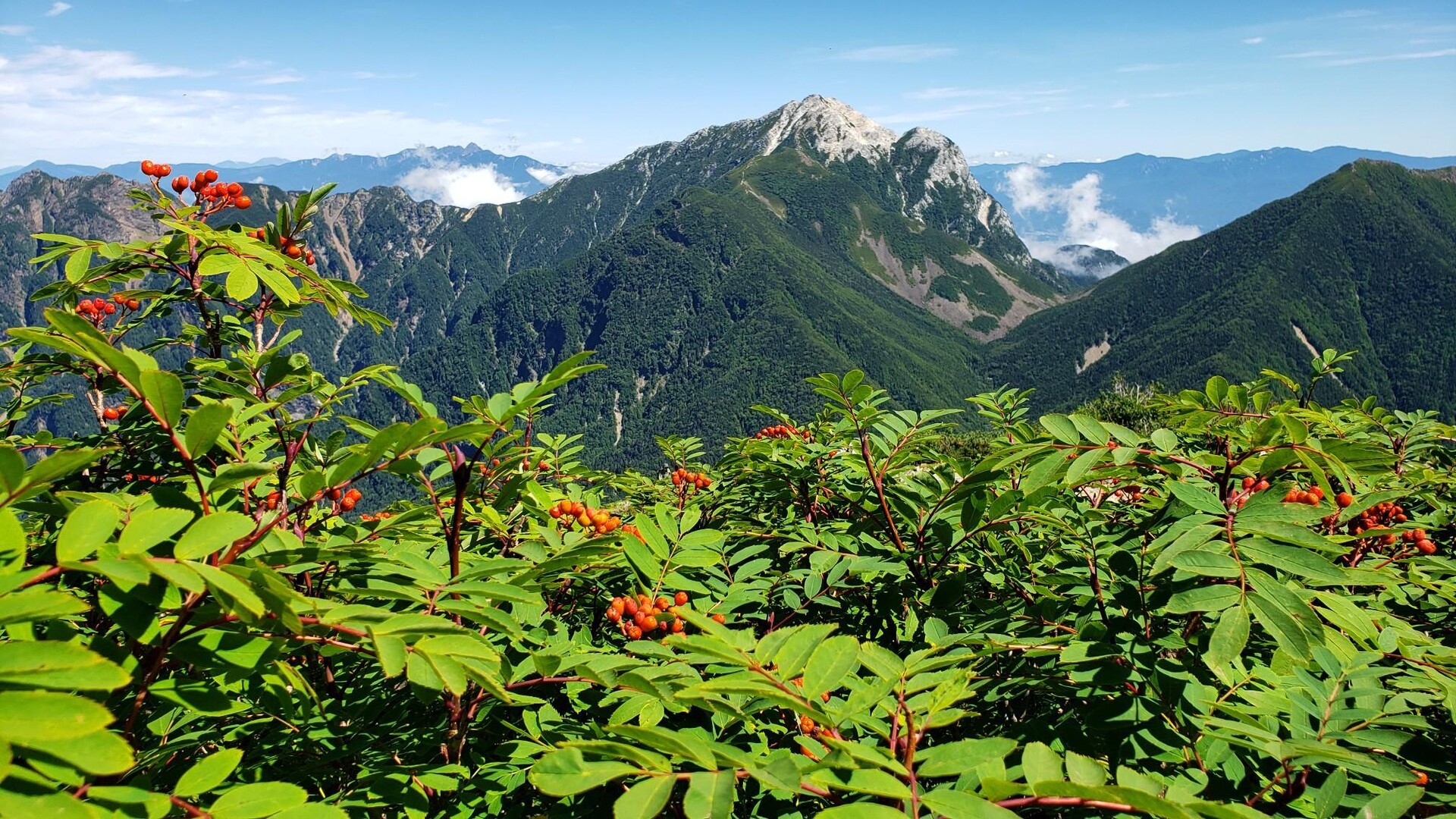 小仙丈ヶ岳・仙丈ヶ岳・大仙丈ヶ岳 / iSleepさんの仙丈ヶ岳・伊那荒倉岳の活動データ | YAMAP / ヤマップ